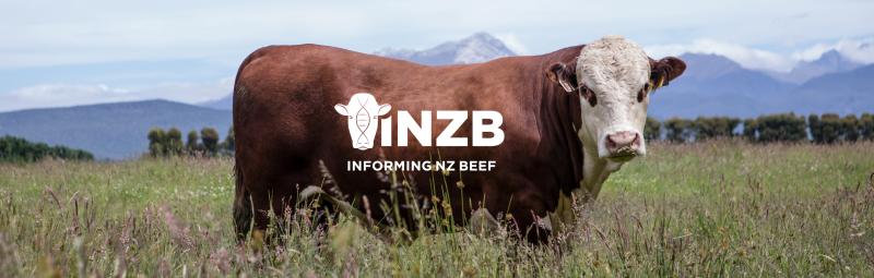 B+LNZ’s Informing New Zealand Beef Programme | Beef + Lamb New Zealand