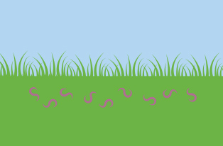 Worms 101 | Beef + Lamb New Zealand