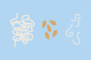 Worms 101 | Beef + Lamb New Zealand
