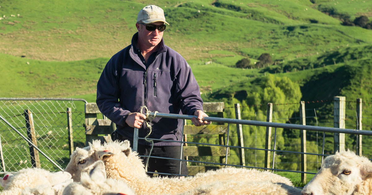 B+LNZ launches Rural Leadership Advancement Scholarship for 2025 | Beef ...