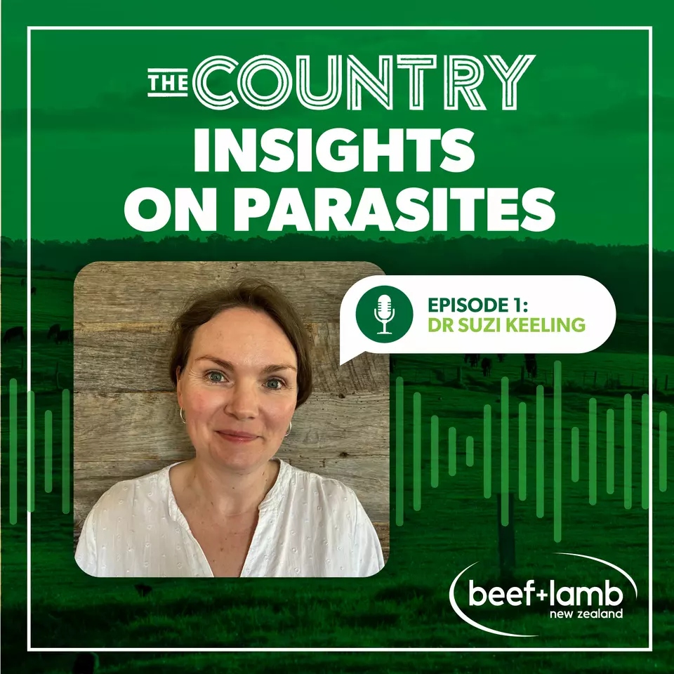 Insights on parasites: episode one with Dr Suzi Keeling | Beef + Lamb ...