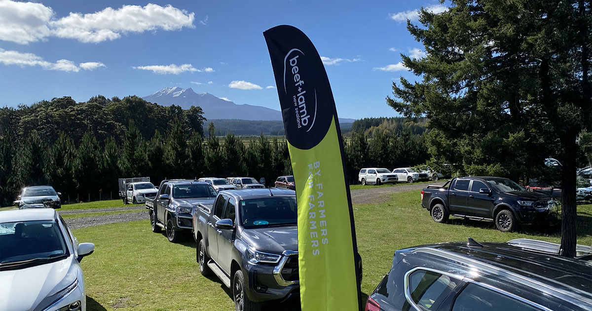 Meet your new B+LNZ Eastern North Island Farmer Councillors | Beef + Lamb New Zealand