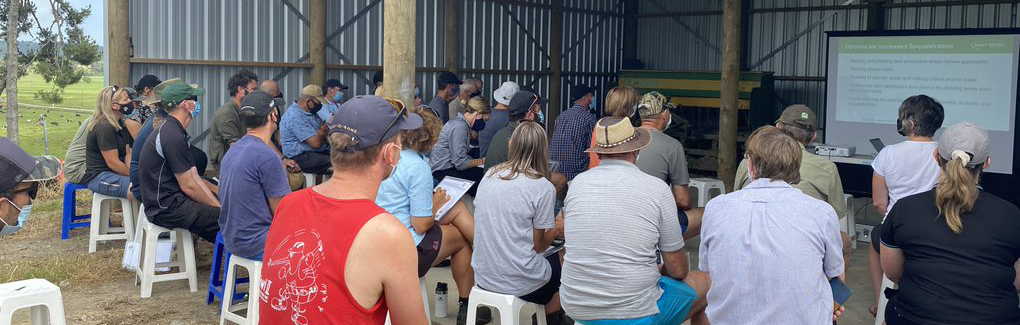 Tailored B+LNZ Wormwise workshops driven by farmer feedback | Beef ...