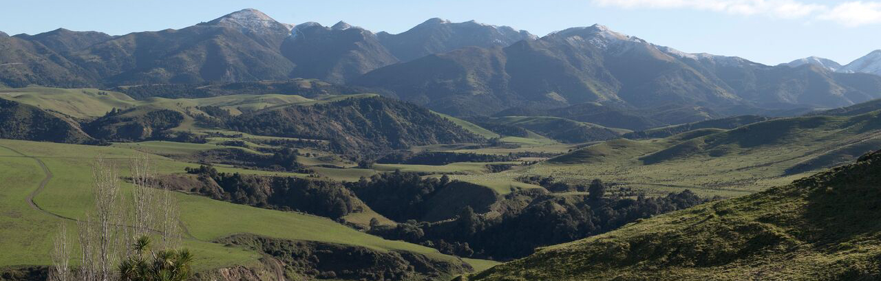 B+LNZ says Gene Technology Bill represents potential opportunities, but ...