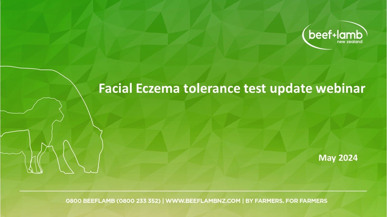 Facial Eczema tolerance test update | Beef + Lamb New Zealand