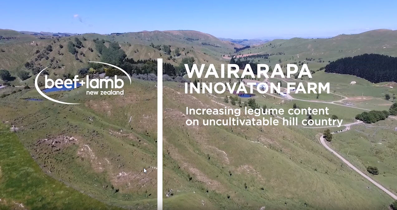 Wairarapa Innovation Farm – Richard Tosswill | Beef + Lamb New Zealand