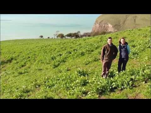 Hamish and Annabel Craw: 3 tonne plus legumes hill country | Beef ...