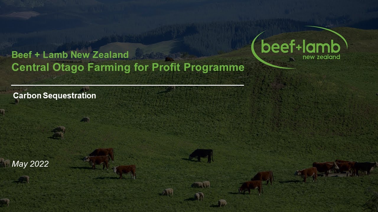 B+LNZ Central Otago Farming for Profit – carbon sequestration | Beef ...