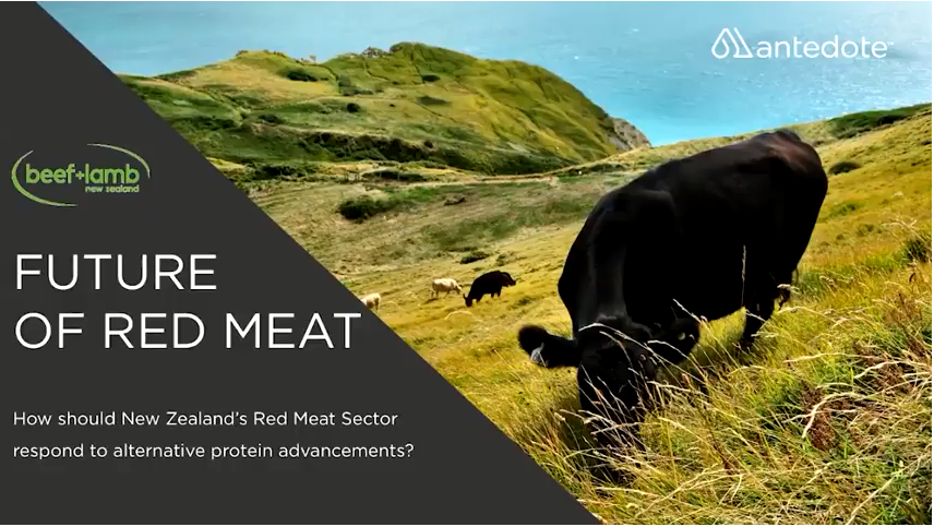 The Future of Red Meat | Beef + Lamb New Zealand