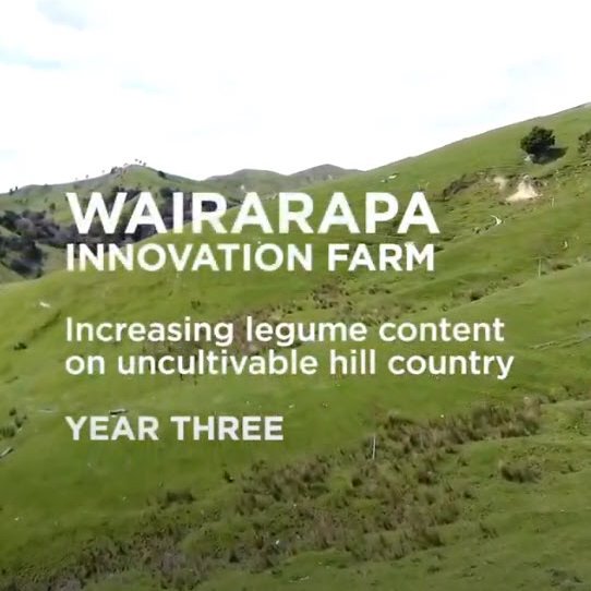 Wairarapa Innovation Farm, Richard Tosswill, Te Awa Awa | Beef + Lamb ...